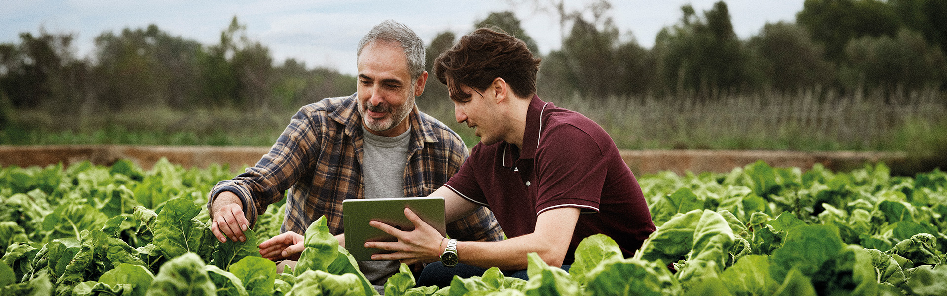 Growing the Sustainable Change in Agriculture - Rovensa Next